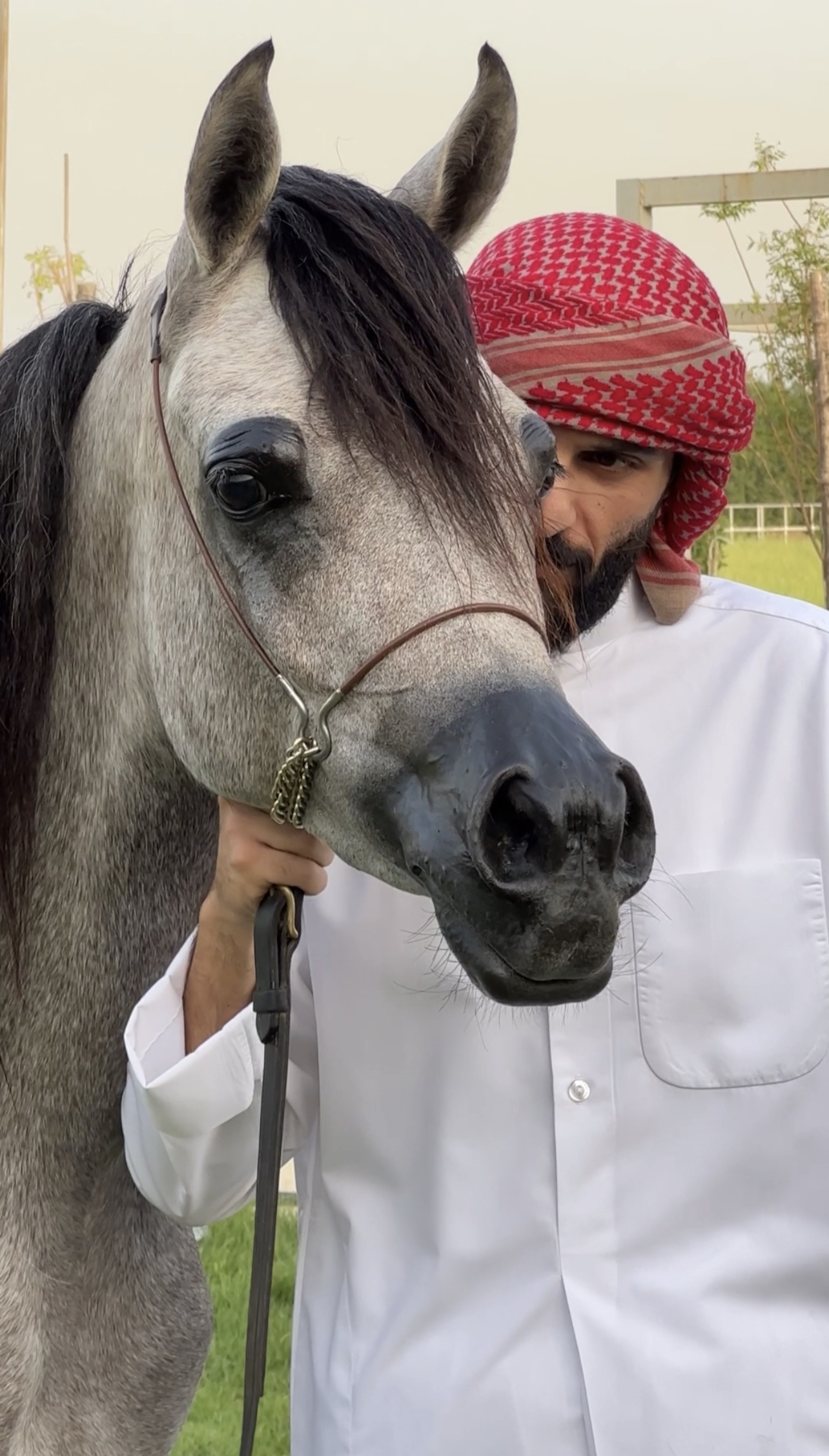 Hamad Allahem, a personality who dives deeply into the hearts of ...
